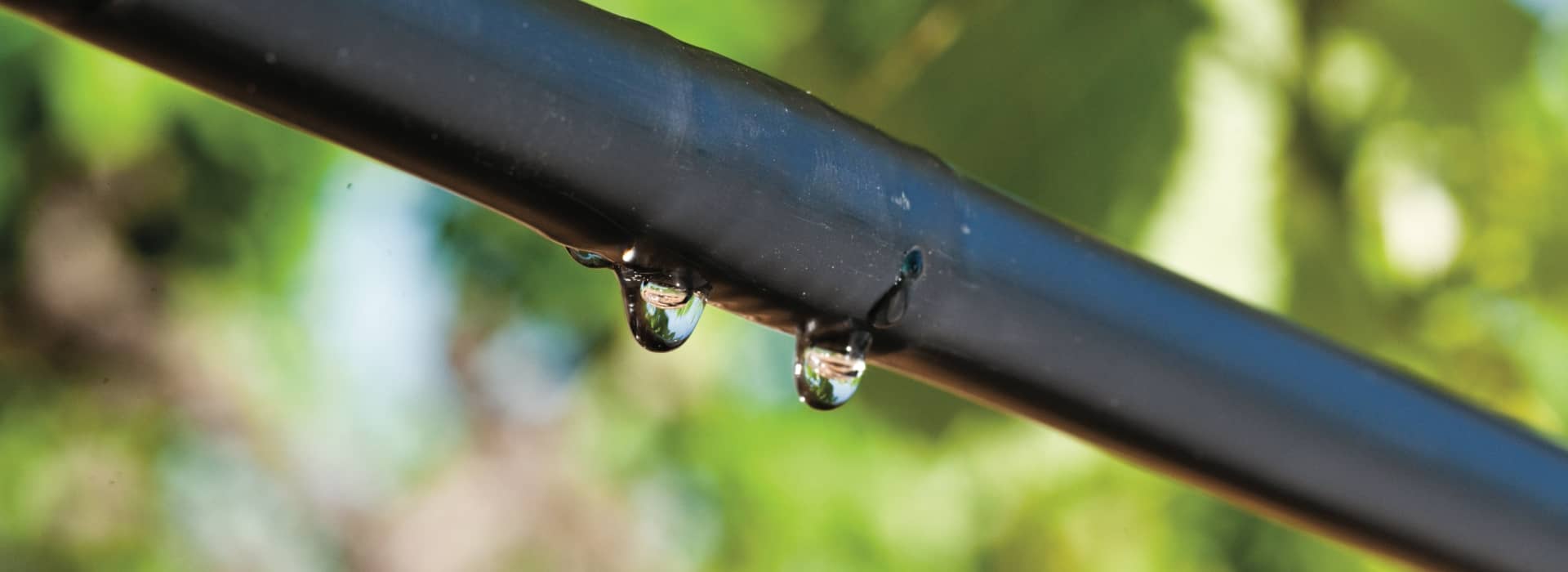 Avustralya | Rivulis Irrigation Systems